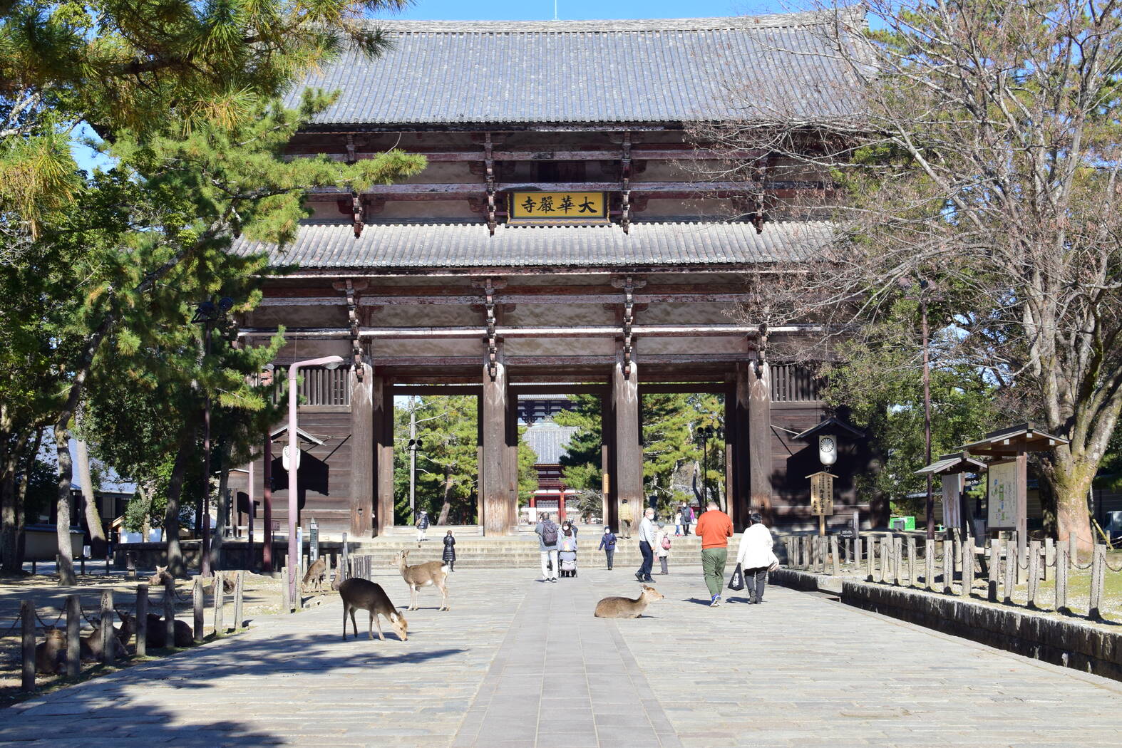 ～日本の森の変遷と森林伐採の歴史～日本最古の森林伐採禁止令とは? - キイノクス編集部