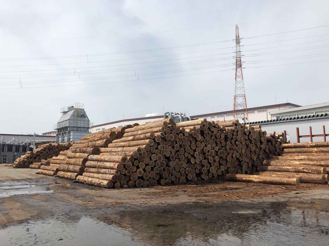 【レポート】ウッドリンク株式会社の製材工場を見学!国産木材の加工工程をご紹介 - KIINNOX（キイノクス） | 木と人がともに活きる未来をつくる