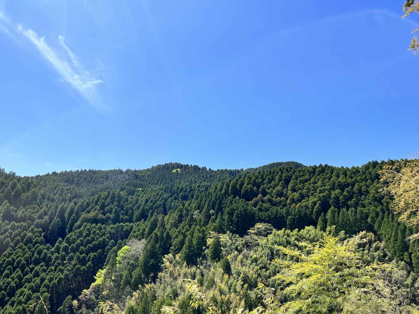 【体験レポート】Present Tree in くまもと山都2 植樹ツアー2023 - KIINNOX（キイノクス） | 木と人がともに活きる未来をつくる