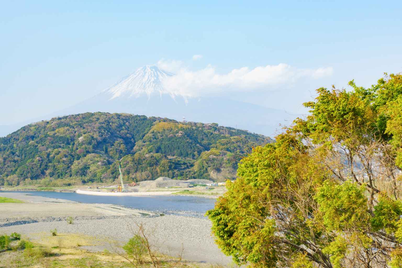 【体験レポート】富士山麓ブナ林創造事業 植樹体験 - KIINNOX（キイノクス） | 木と人がともに活きる未来をつくる